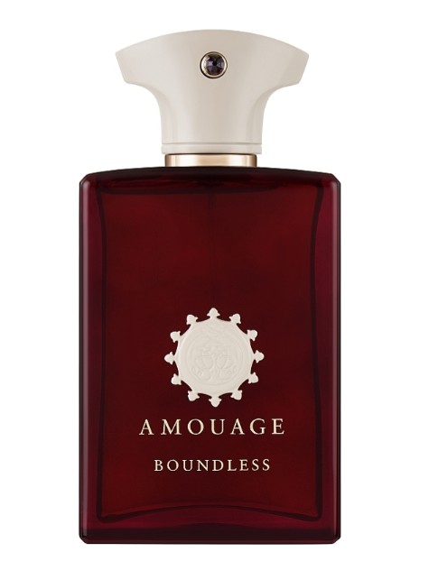 Amouage Boundless Eau de Parfum 100 ml – My Dr. XM