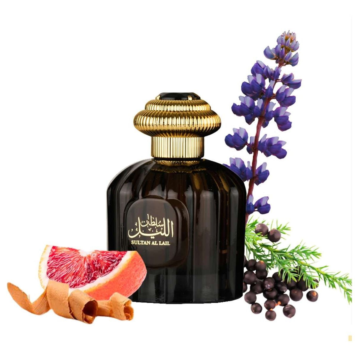 Al Wataniah Sultan Al Lail Eau de Parfum for men 100 ml – My Dr. XM