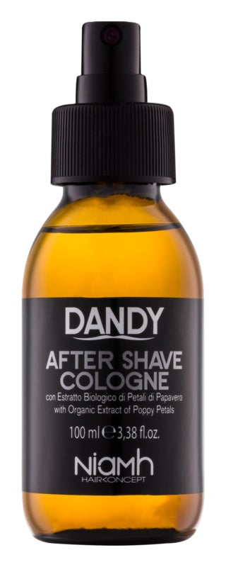 DANDY After Shave 100 ml – My Dr. XM