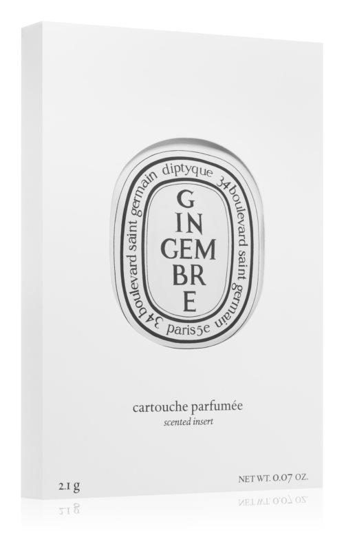 Diptyque Gingembre electric diffuser filling – My Dr. XM
