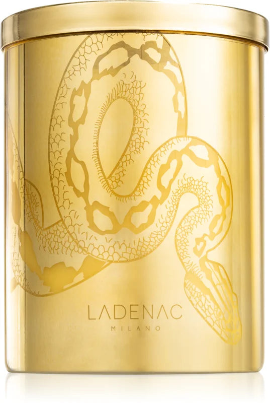 Ladenac Africa Serpiente Temptation scented candle – My Dr. XM
