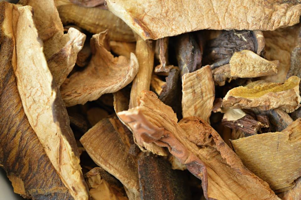 Dry Bronze mushroom 50g – My Dr. XM
